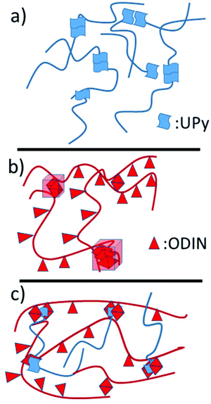 Order–disorder transition in supramolecular polymer combs/brushes with ...