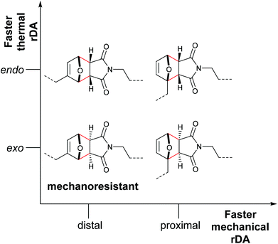 Polymer mechanochemistry-enabled pericyclic reactions - Polymer ...
