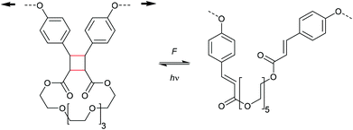 Polymer mechanochemistry-enabled pericyclic reactions - Polymer ...