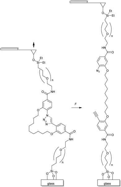 Polymer mechanochemistry-enabled pericyclic reactions - Polymer ...
