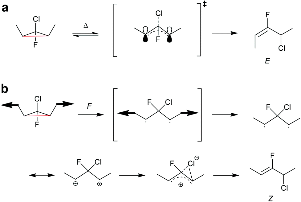 Polymer mechanochemistry-enabled pericyclic reactions - Polymer ...