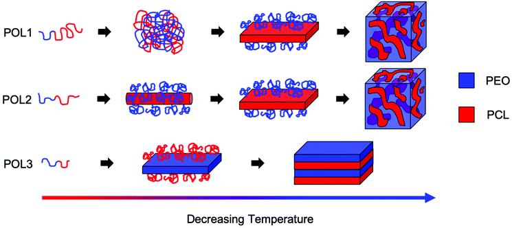 Block copolymer hierarchical structures from the interplay of multiple ...