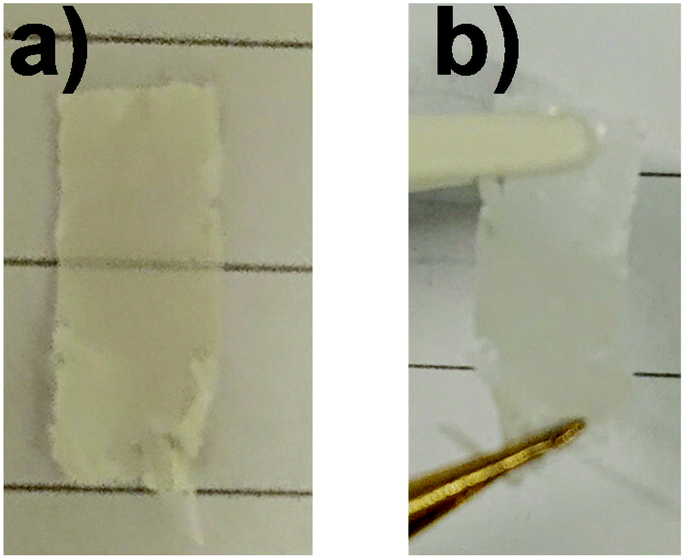 Poly( p -phenylene)s tethered with oligo(ethylene oxide): synthesis by ...