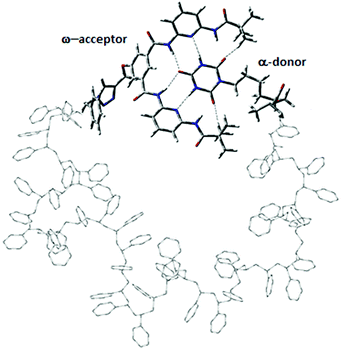Tacticity dependence of single chain polymer folding - Polymer ...