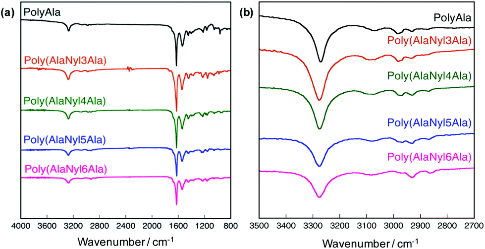 Poly(alanine-nylon-alanine) as a bioplastic: chemoenzymatic synthesis ...