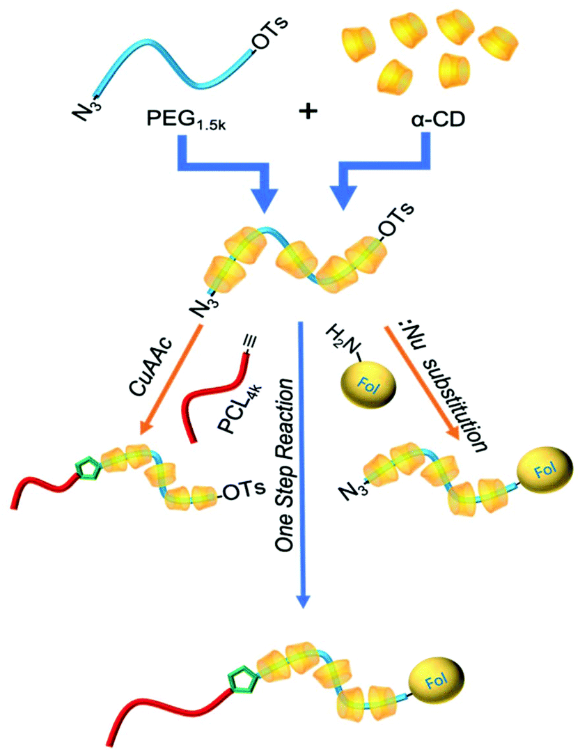 Nanoparticles decorated with folate based on a site-selective αCD ...