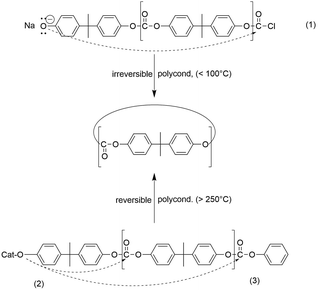 Synthesis of cyclic polymers and flaws of the Jacobson–Stockmayer ...