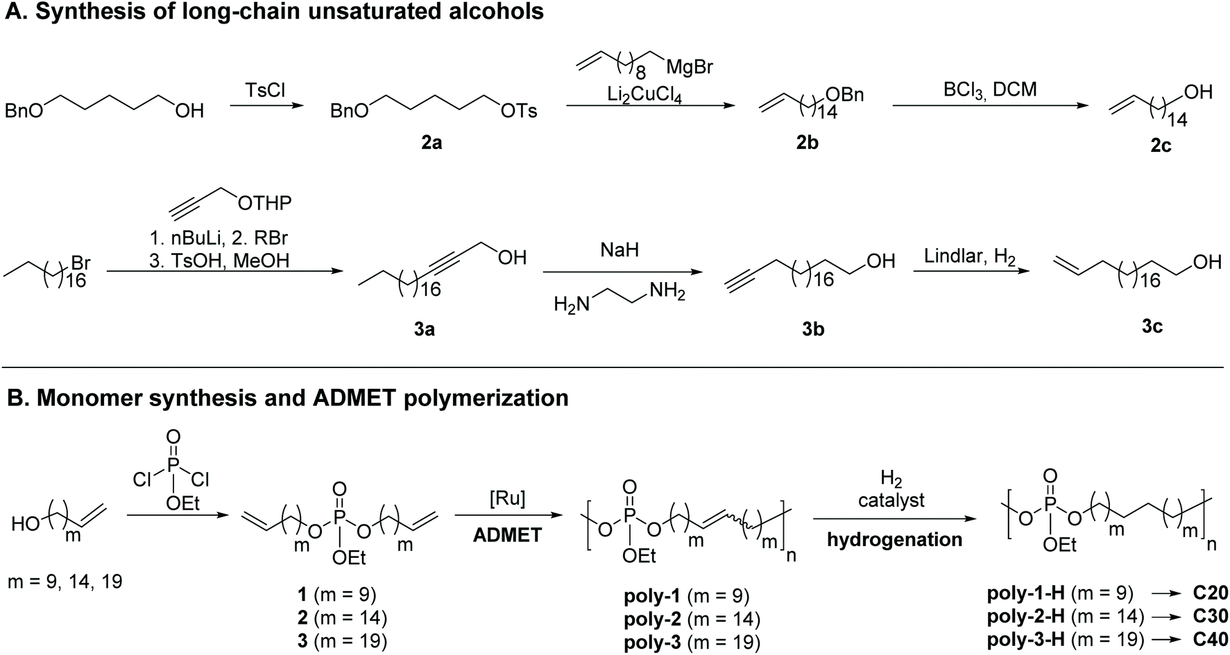 Controlling the crystal structure of precisely spaced polyethylene-like ...