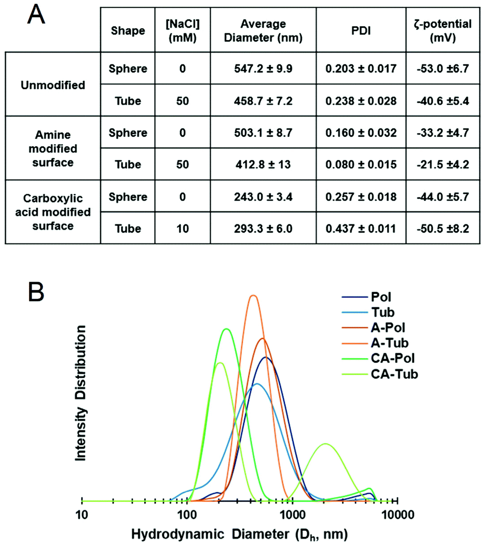 Influence of surface charge on the formulation of elongated PEG- b ...