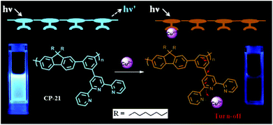 Fluorescent chemosensors based on conjugated polymers with N ...