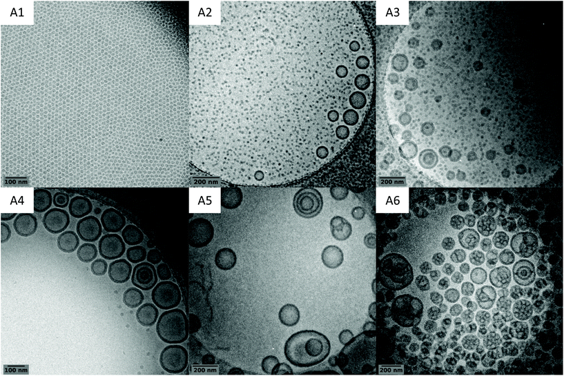 Poly(ethylene glycol)- b -poly(vinyl acetate) block copolymer particles ...