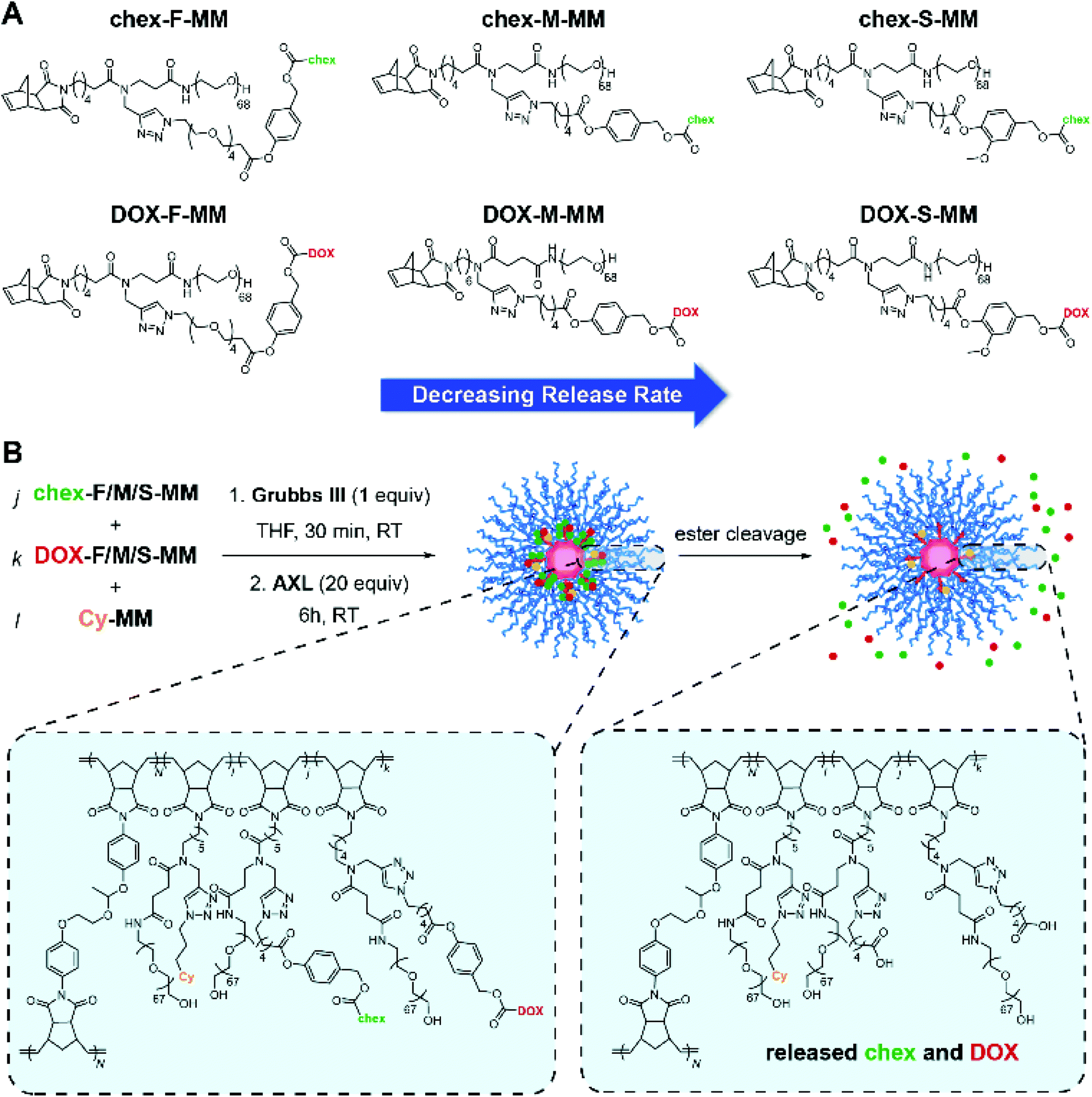 Pro-organic radical contrast agents (“pro-ORCAs”) for real-time MRI of ...