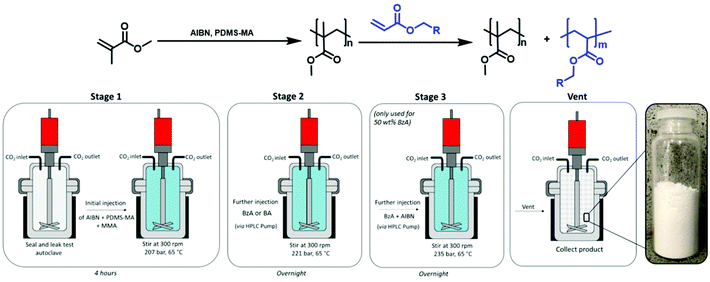 Synthesis of two-phase polymer particles in supercritical carbon ...