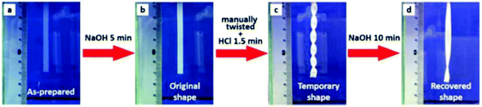 A comprehensive review of the structures and properties of ionic polymeric materials - Polymer ...