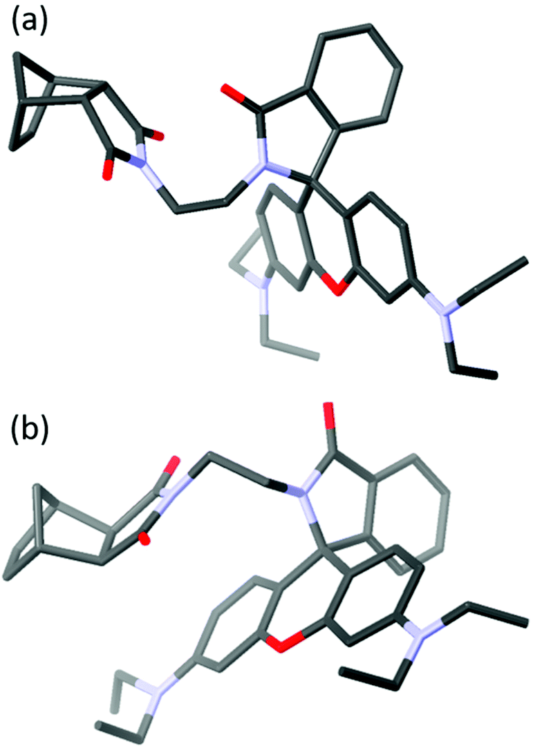 Supramolecular behaviour and fluorescence of rhodamine-functionalised ...