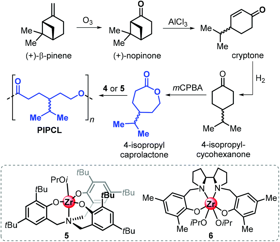 From terpenes to sustainable and functional polymers - Polymer ...