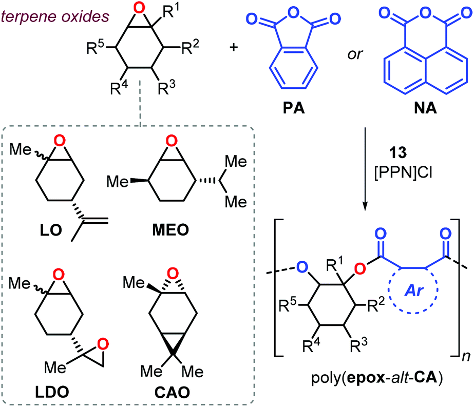 From terpenes to sustainable and functional polymers - Polymer ...