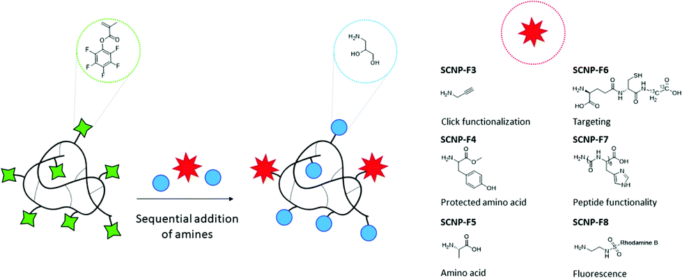 Pentafluorophenyl-based single-chain polymer nanoparticles as a ...