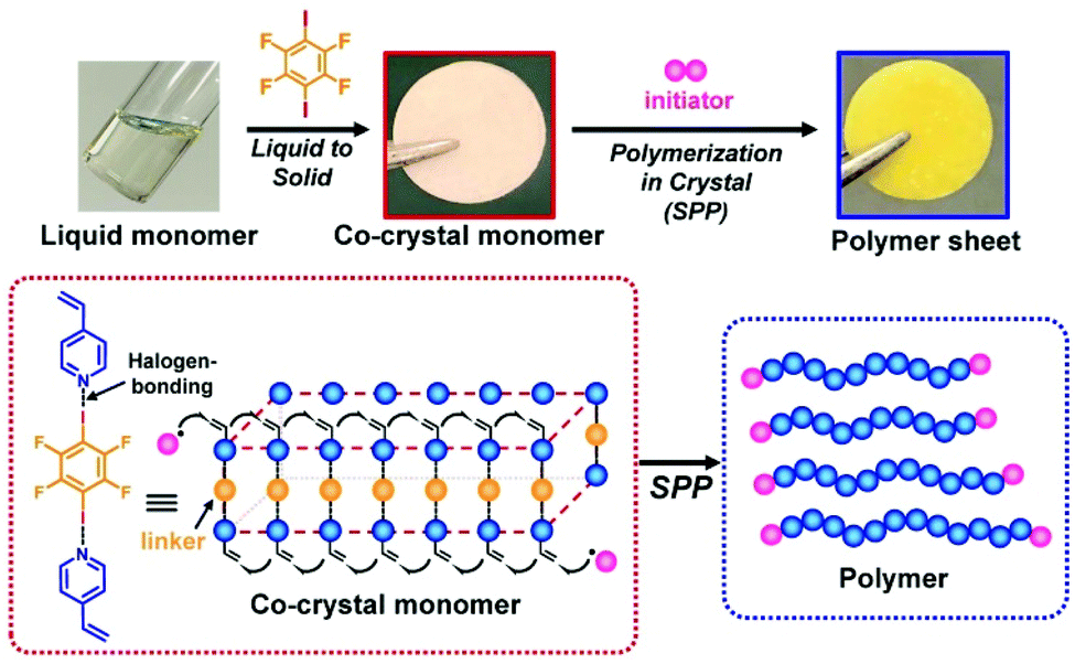 Recent development in halogen-bonding-catalyzed living radical ...