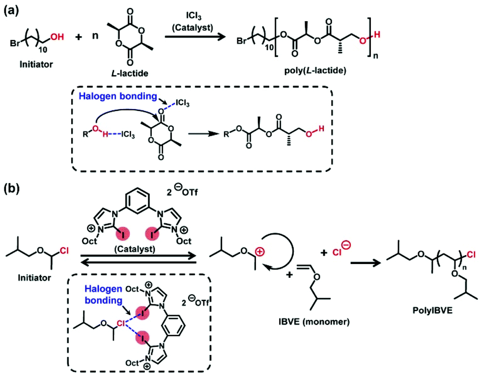 Recent development in halogen-bonding-catalyzed living radical ...