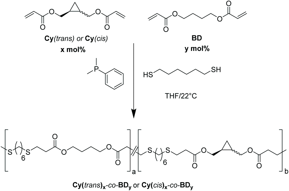 Understanding structure–property relationships of main chain ...