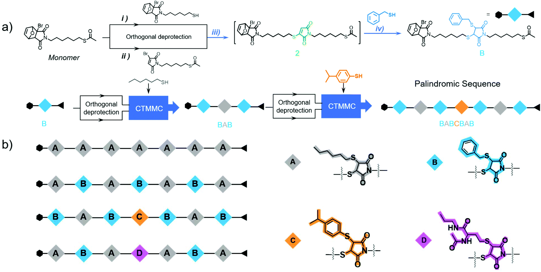 Easily readable palindromic sequence-defined polymers built by cascade ...