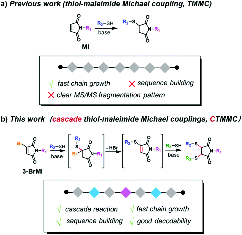 Easily readable palindromic sequence-defined polymers built by cascade ...