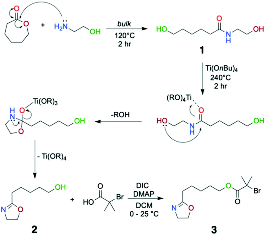 An ε-caprolactone-derived 2-oxazoline inimer for the synthesis of graft ...