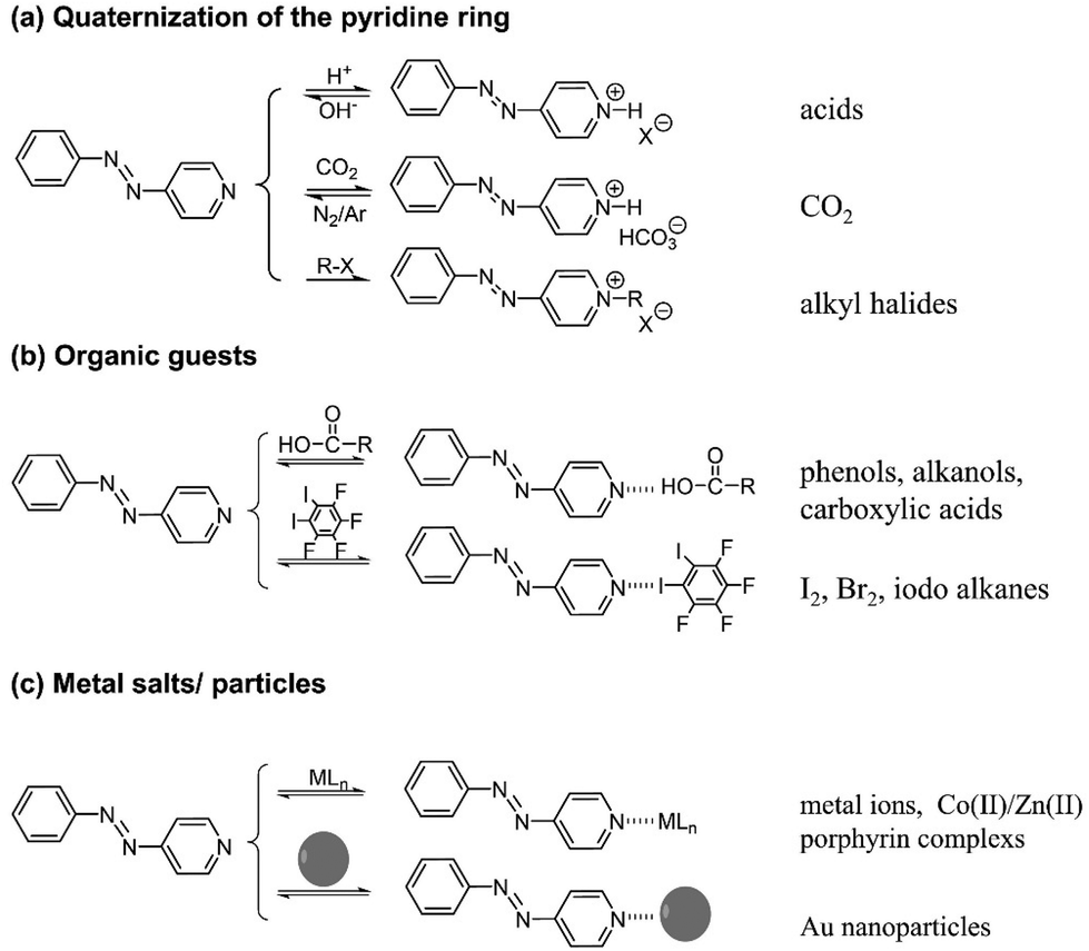 Azopyridine: a smart photo- and chemo-responsive substituent for ...