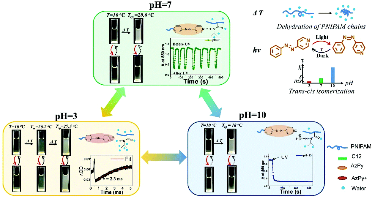 Azopyridine: a smart photo- and chemo-responsive substituent for ...