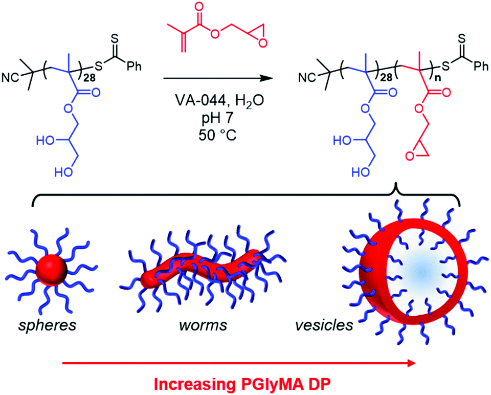 Rational synthesis of epoxy-functional spheres, worms and vesicles by ...