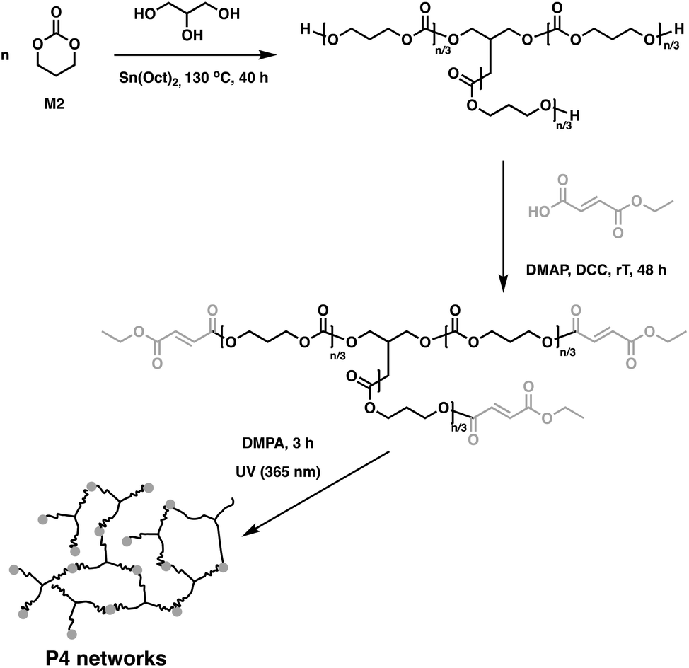 Inherently degradable cross-linked polyesters and polycarbonates ...