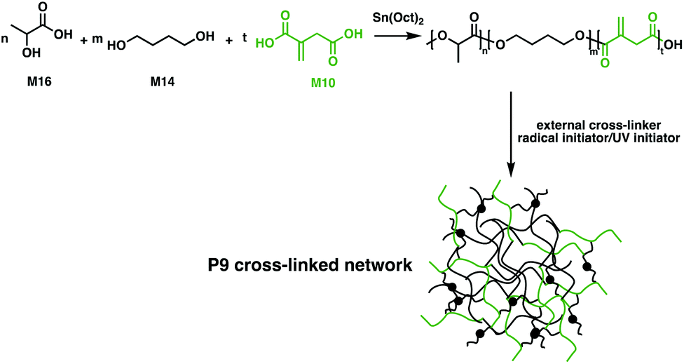 Inherently degradable cross-linked polyesters and polycarbonates ...