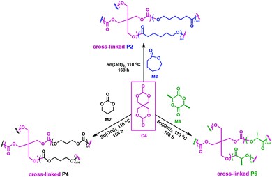 Inherently degradable cross-linked polyesters and polycarbonates ...