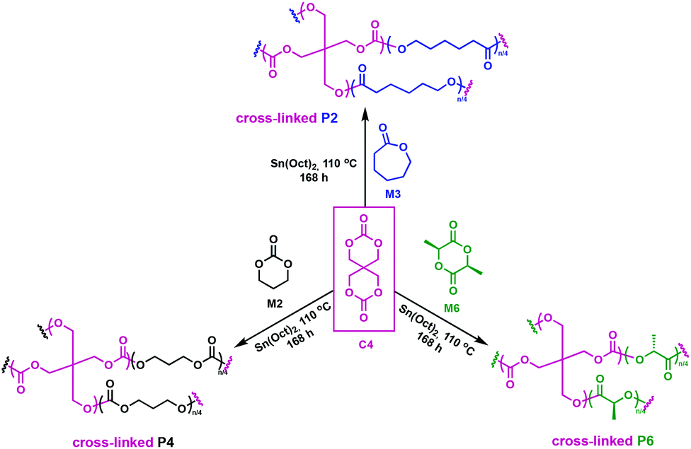 Inherently degradable cross-linked polyesters and polycarbonates ...