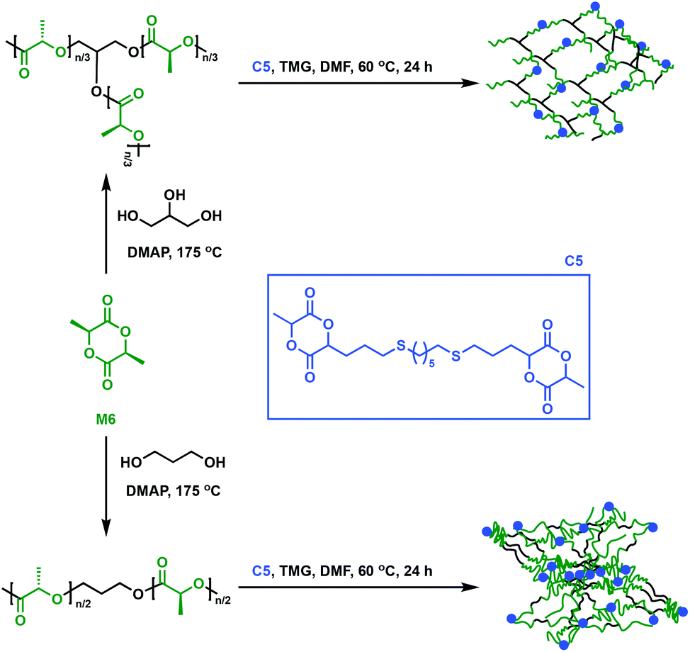 Inherently degradable cross-linked polyesters and polycarbonates ...