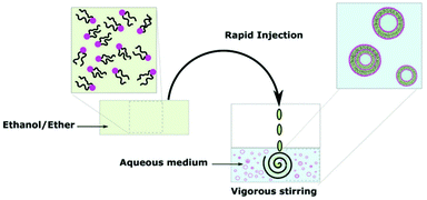 Macromolecular design and preparation of polymersomes - Polymer ...