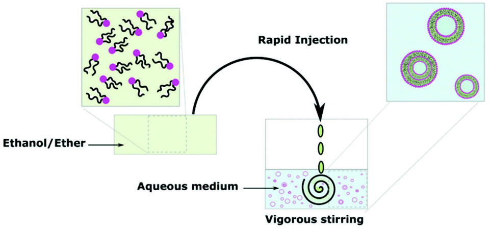 Macromolecular design and preparation of polymersomes - Polymer ...