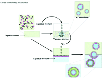 Macromolecular design and preparation of polymersomes - Polymer ...