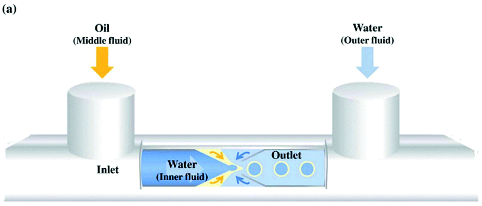 Macromolecular design and preparation of polymersomes - Polymer ...