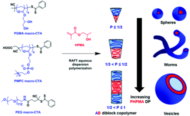 Macromolecular design and preparation of polymersomes - Polymer ...