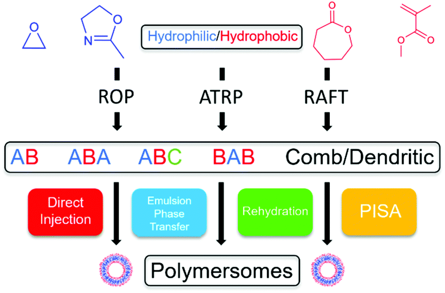 Macromolecular design and preparation of polymersomes - Polymer ...
