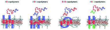Macromolecular design and preparation of polymersomes - Polymer ...