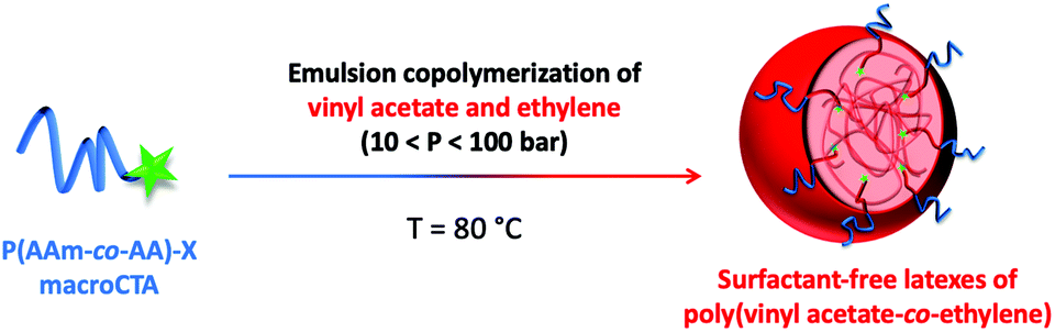 Poly(vinyl acetate- co -ethylene) particles prepared by surfactant-free ...