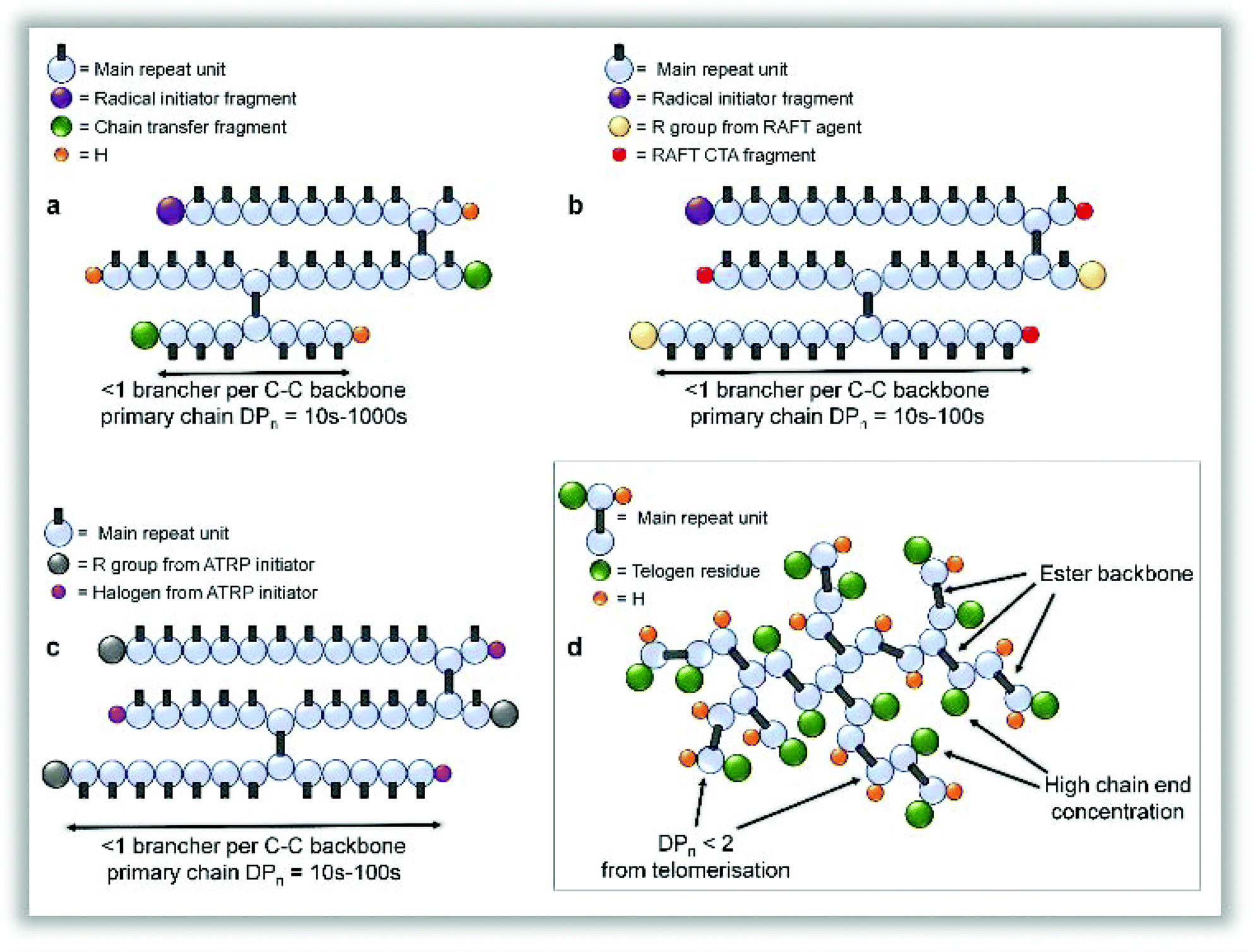 Hyperbranched polymers with step-growth chemistries from transfer ...