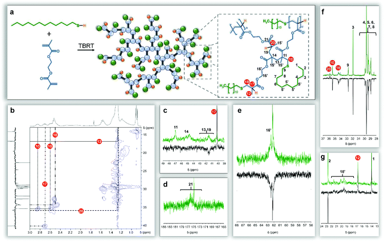Hyperbranched polymers with step-growth chemistries from transfer ...