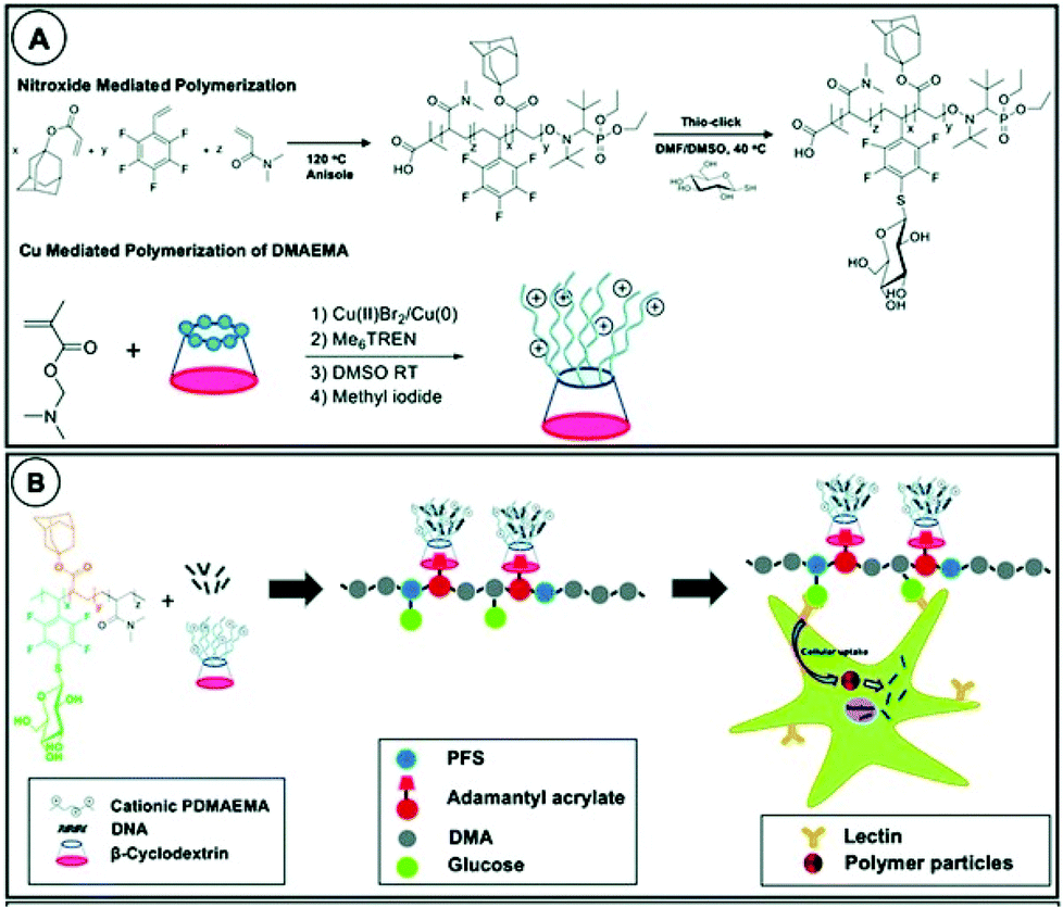 Natural cyclodextrins and their derivatives for polymer synthesis - Polymer Chemistry (RSC ...