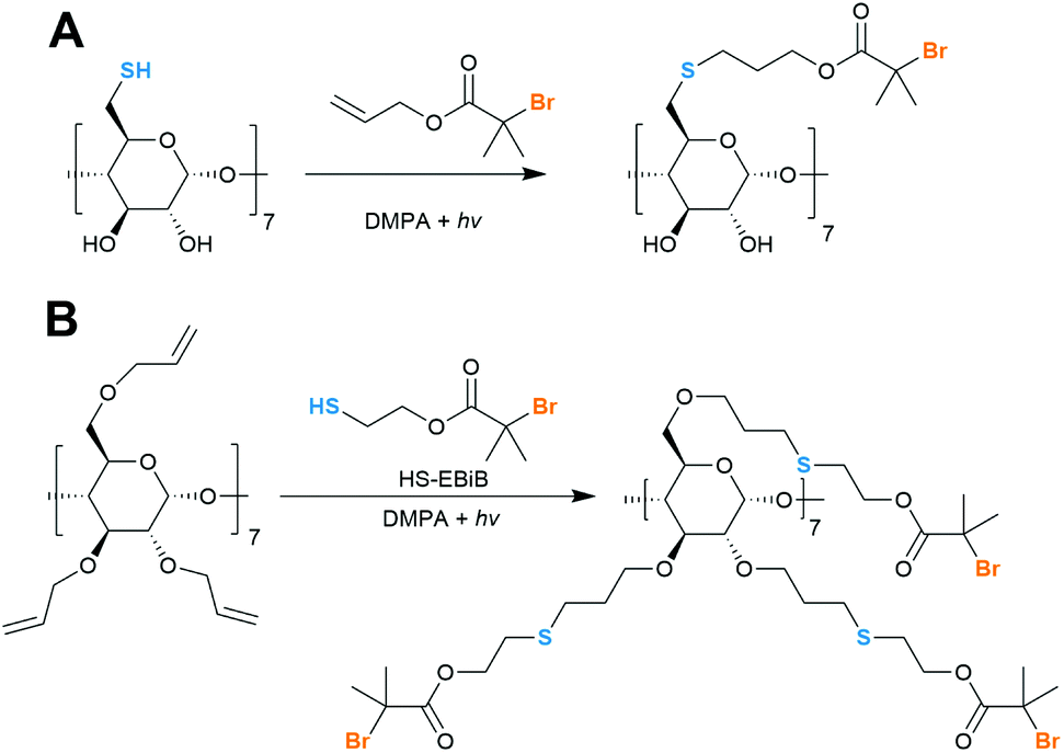 Natural cyclodextrins and their derivatives for polymer synthesis ...