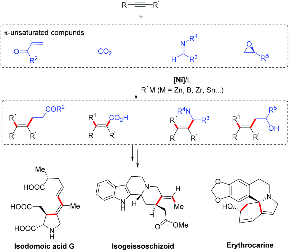 Ni Catalyzed Stereoselective Difunctionalization Of Alkynes Organic