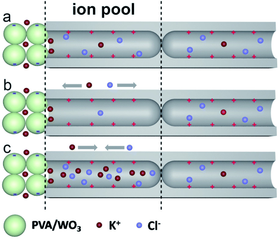 A high rectification ratio nanofluidic diode induced by an “ion pool ...